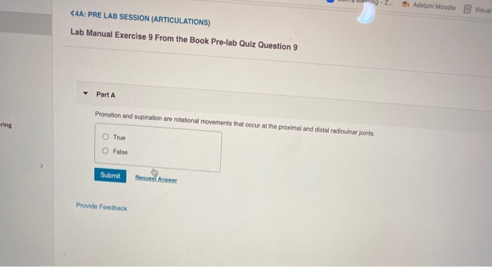 Solved m Adelphi Moodle