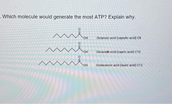 Solved Which molecule would generate the most ATP? Explain | Chegg.com