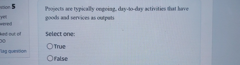Solved Projects are typically ongoing, day-to-day activities | Chegg.com