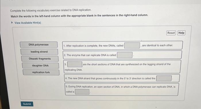 Solved What process ensures that the replication of DNA | Chegg.com