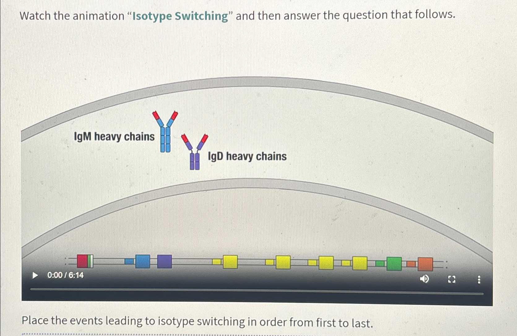 Solved Watch the animation "Isotype Switching" and then | Chegg.com