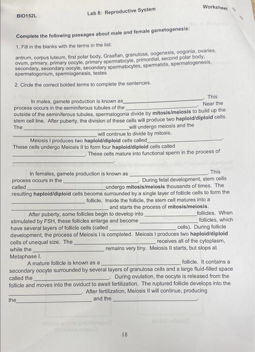 Solved Worksheet BIO152L Lab 8: Reproductive System Complete | Chegg.com