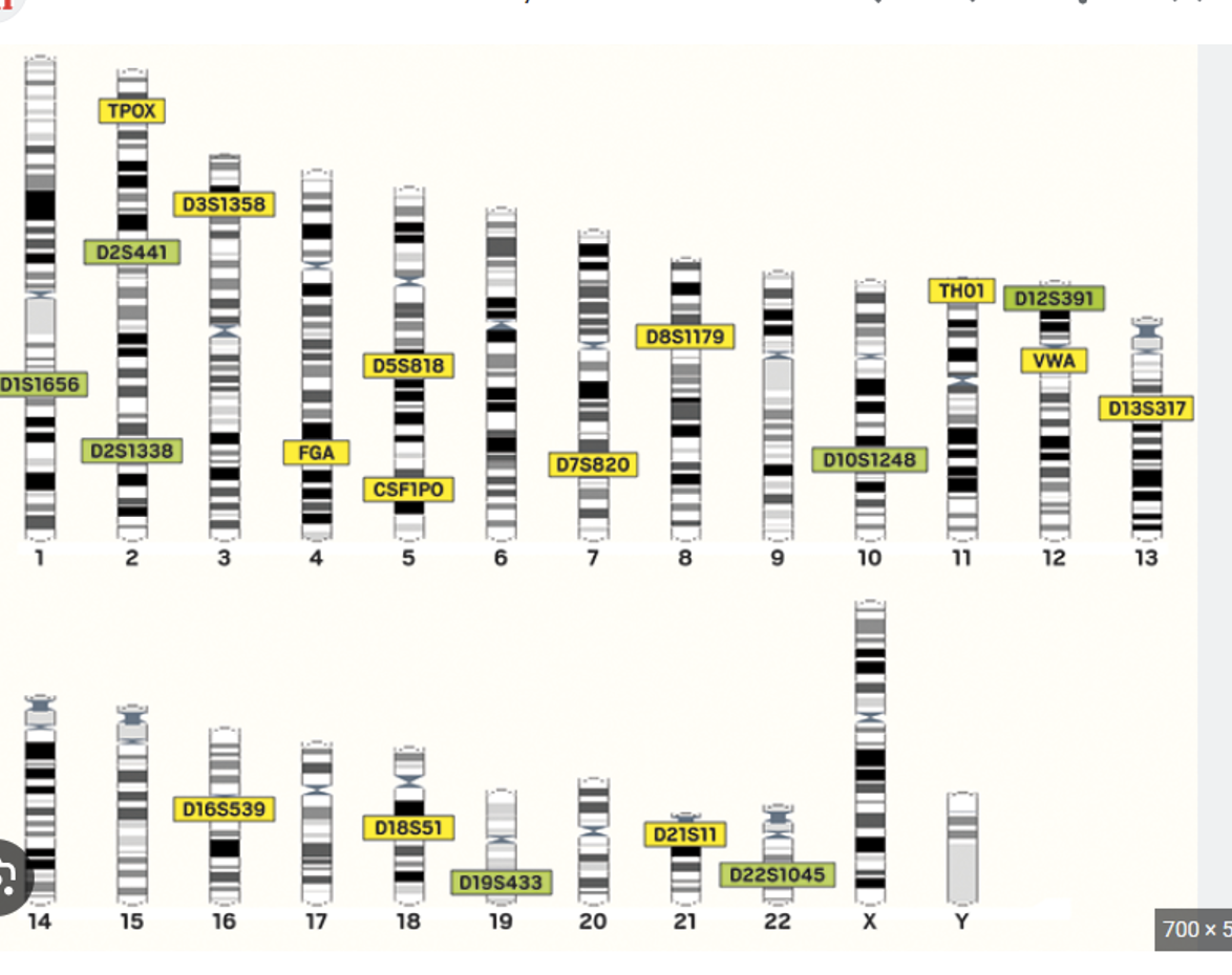 Solved #1: ﻿Below is an illustration of the 20 ﻿locations | Chegg.com
