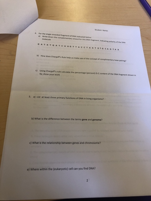 Solved Student Neme For the single stranded fragment of DNA | Chegg.com