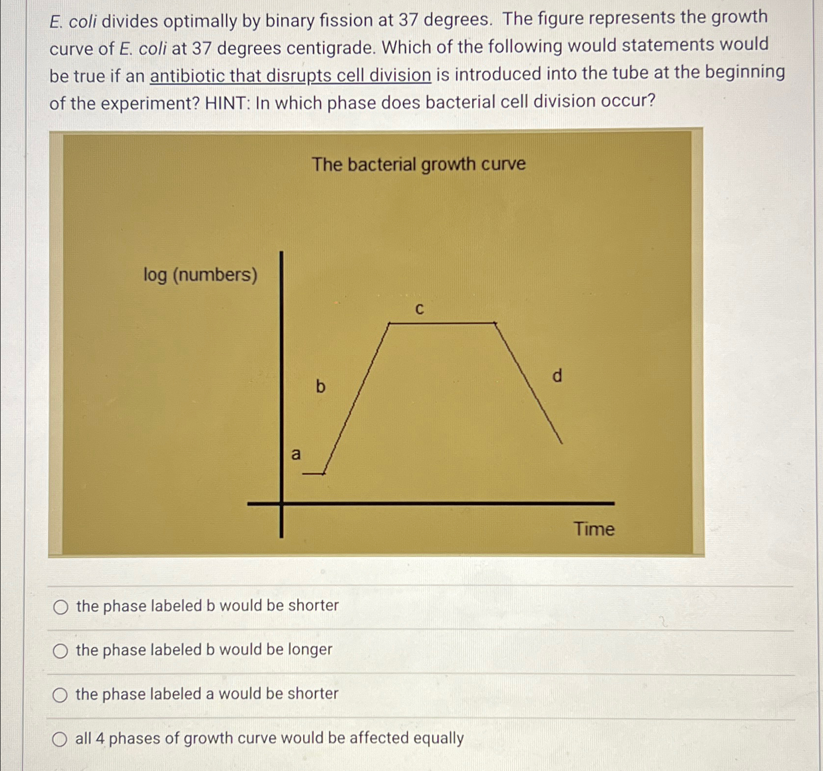 Solved E. ﻿coli divides optimally by binary fission at 37 | Chegg.com