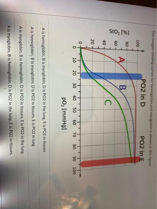 Solved The oxygen binding curves for hemoglobin and | Chegg.com