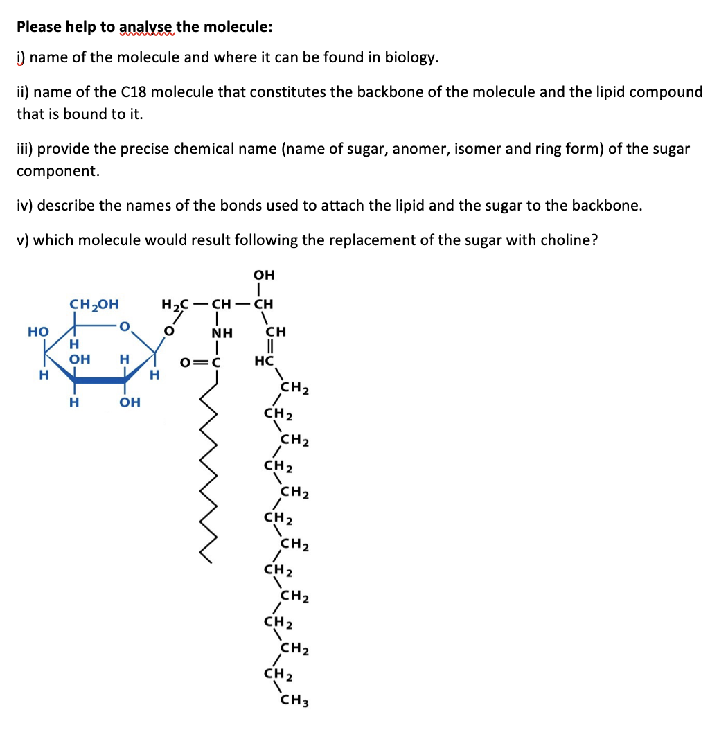 Solved Please help to analyse the molecule:i) ﻿name of the | Chegg.com