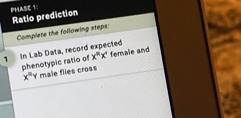 Solved PHASE 1:Ratio predictionComplete the following | Chegg.com