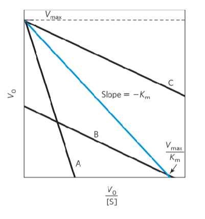 Solved V max There are several ways to transform the | Chegg.com
