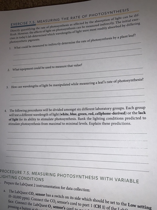 Solved EXERCISE 7.5. MEASURING THE RATE OF PHOTOSYNTHESIS | Chegg.com