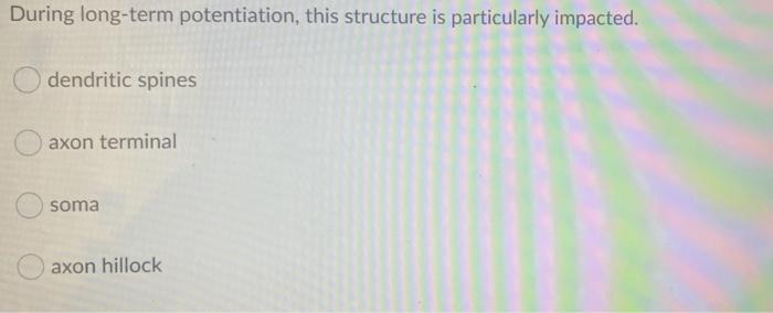 Solved During long-term potentiation, this structure is | Chegg.com