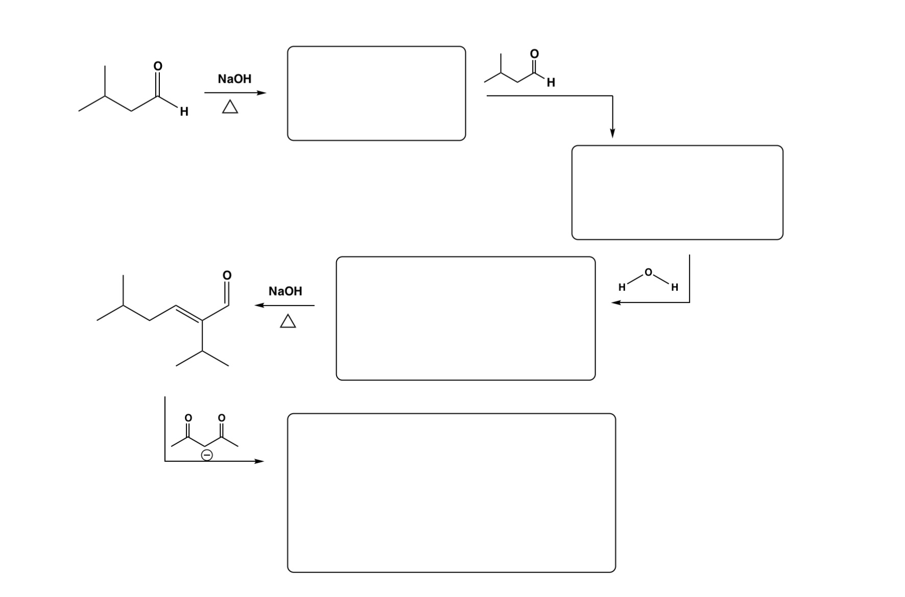 Solved Please complete this mechanism and show all work. | Chegg.com Solved Please complete this mechanism and show all work. | Chegg.com