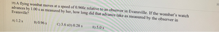 Solved 19) A flying wombat moves at a speed of 0.960c | Chegg.com