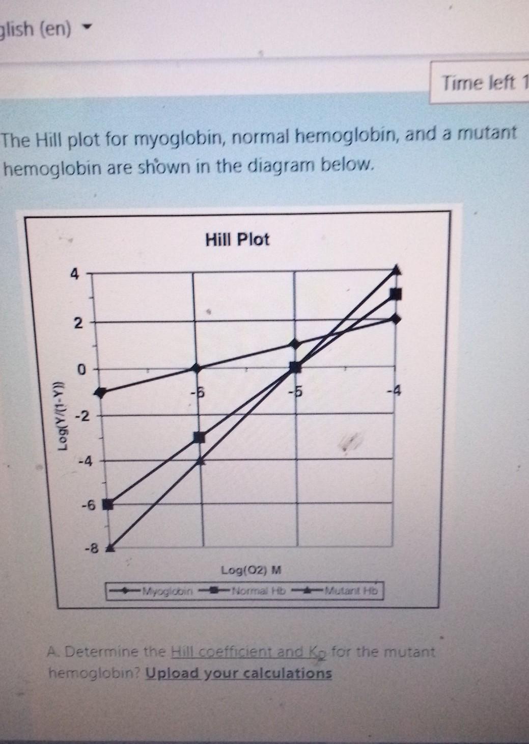 Solved glish (en) - Time left 1 The Hill plot for myoglobin, | Chegg.com