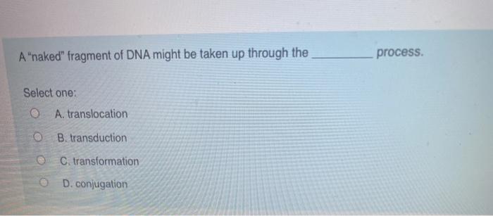 Solved Identify the type of mutation shown in the following | Chegg.com