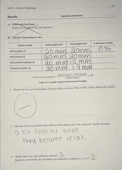Solved 93 Lab 11 - Muscle Physiology Results Name & Lab | Chegg.com