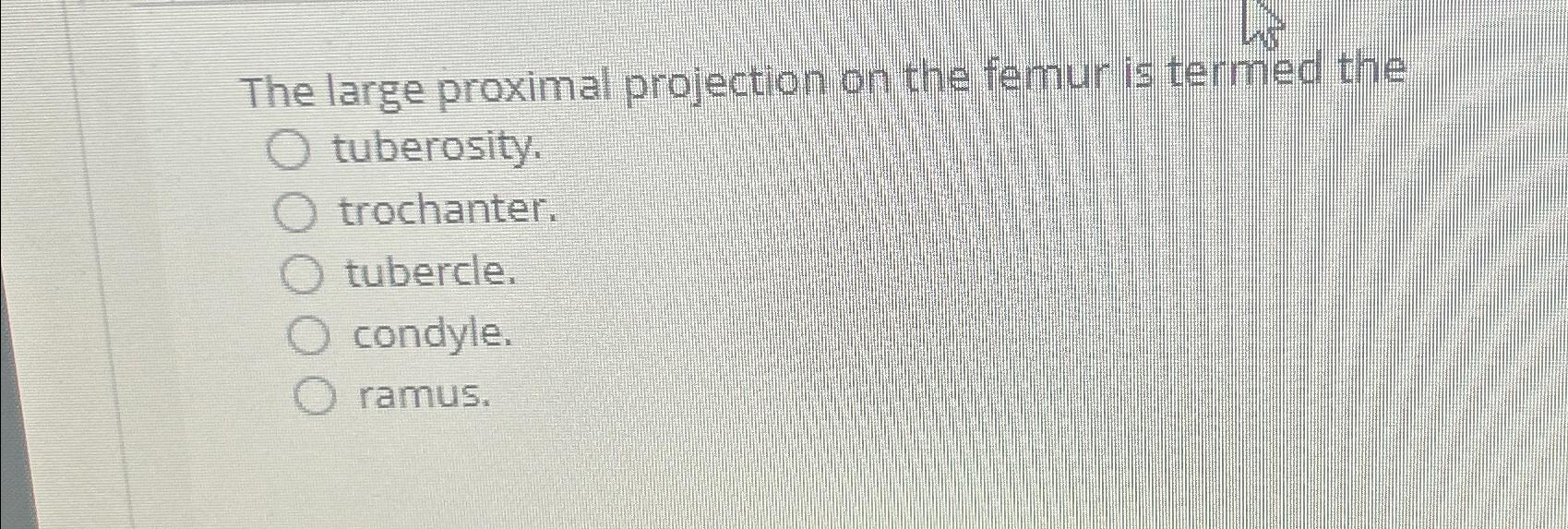 Solved The large proximal projection on the femur is termed | Chegg.com