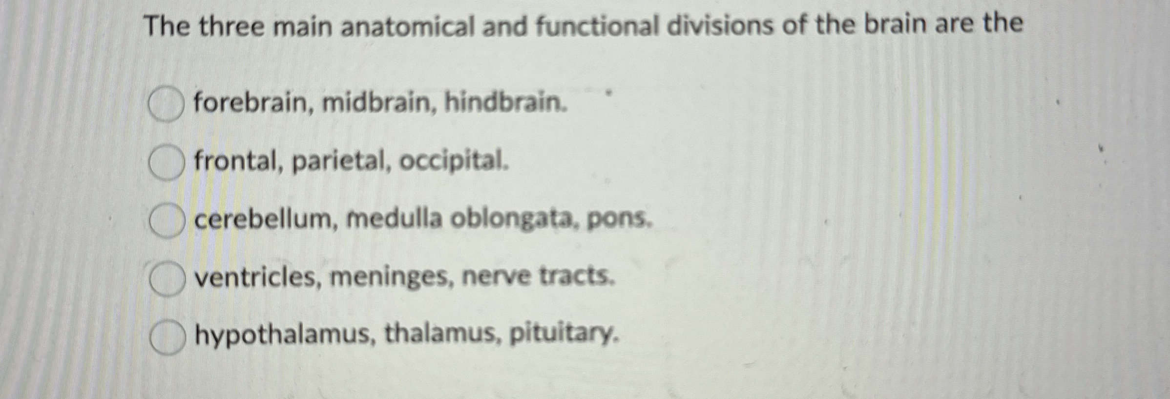 Solved The three main anatomical and functional divisions of | Chegg.com