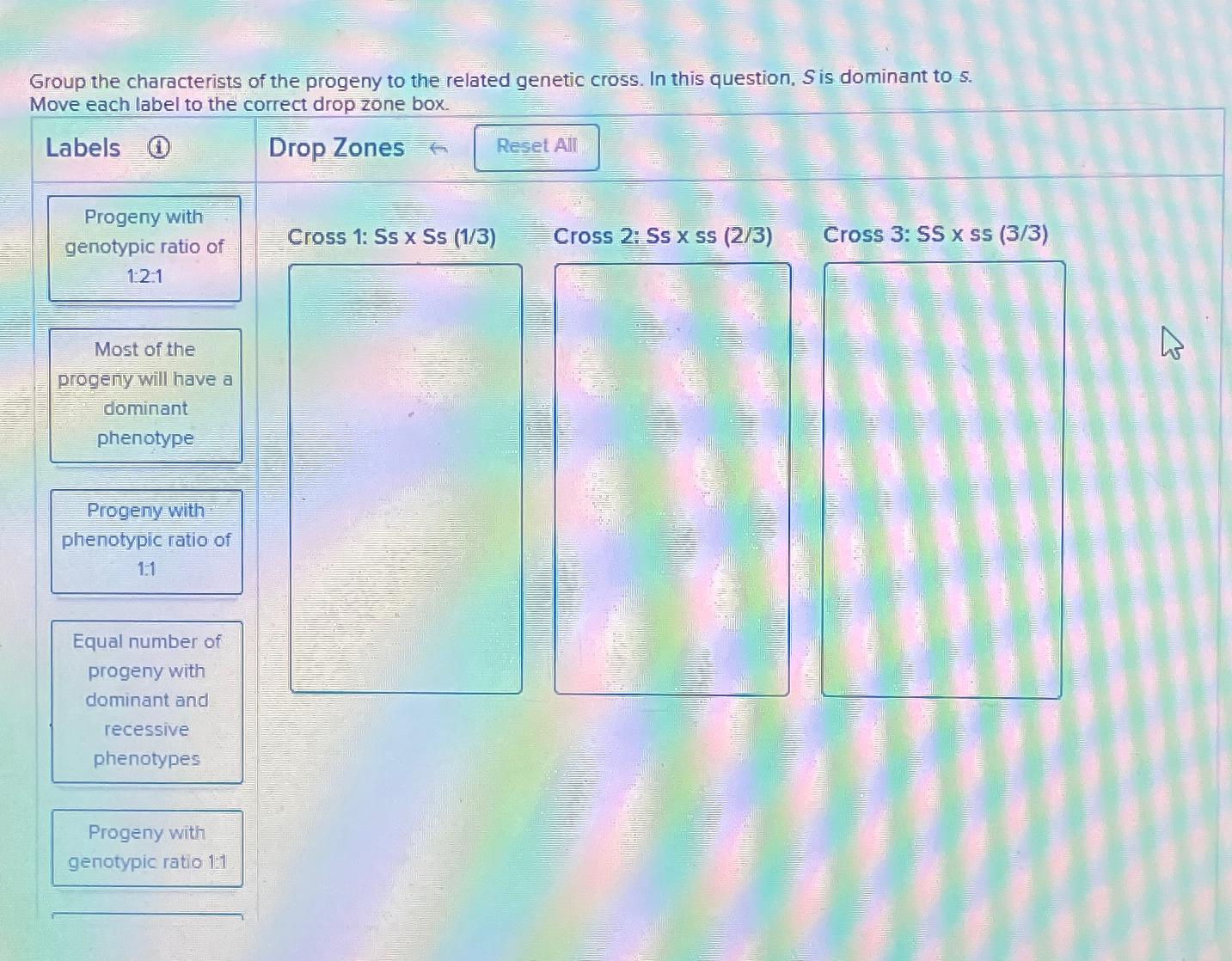 Solved Group the characterists of the progeny to the related | Chegg.com