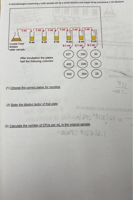 Solved A microbiologist examining a milk sample set up a | Chegg.com