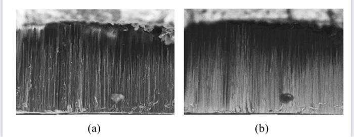 Solved Figures (a) and (b) are SEM images taken at the same | Chegg.com
