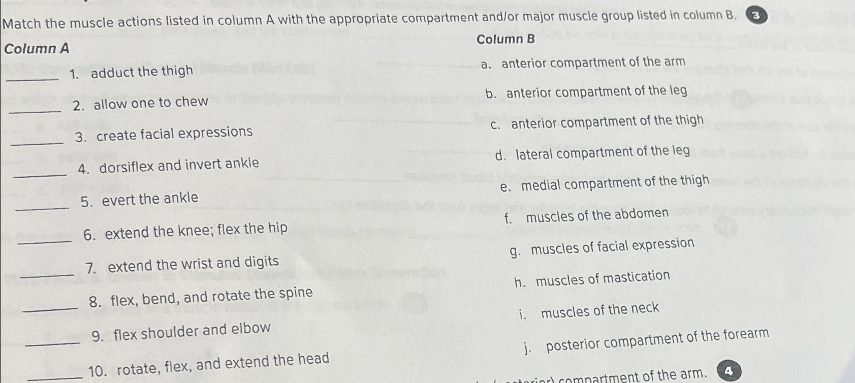 Solved Match the muscle actions listed in column A with the | Chegg.com