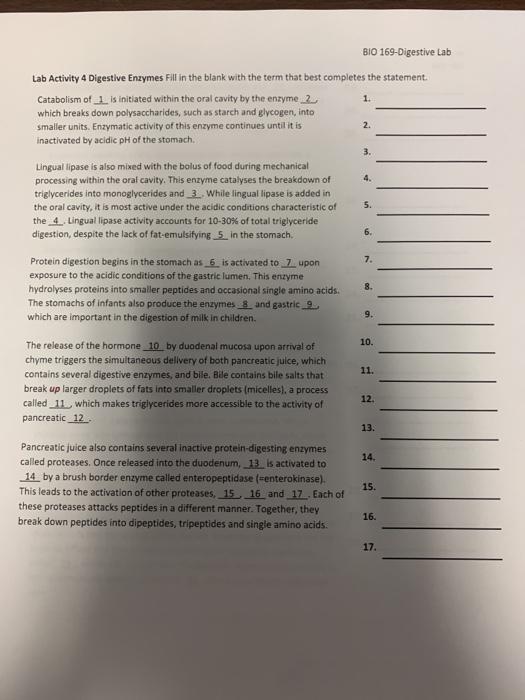 Solved 2. BIO 169-Digestive Lab Lab Activity 4 Digestive | Chegg.com