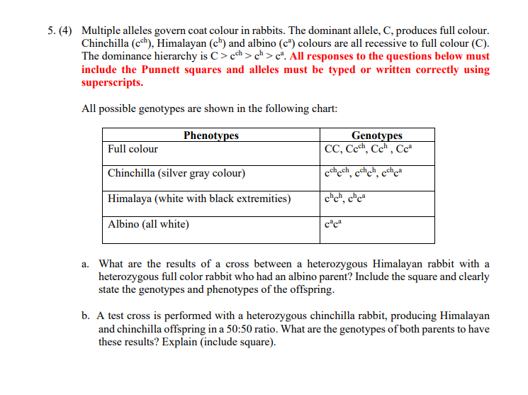 Solved (4) ﻿Multiple alleles govern coat colour in rabbits. | Chegg.com