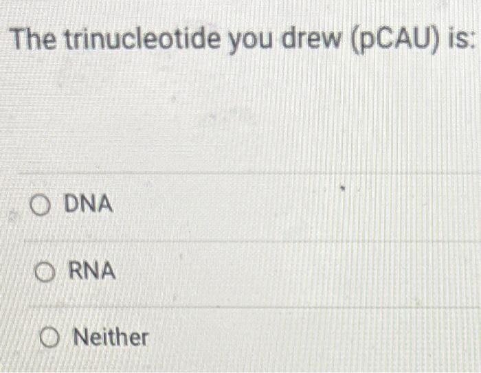 Solved Consider the trinucleotide given below: pCAU Draw its | Chegg.com