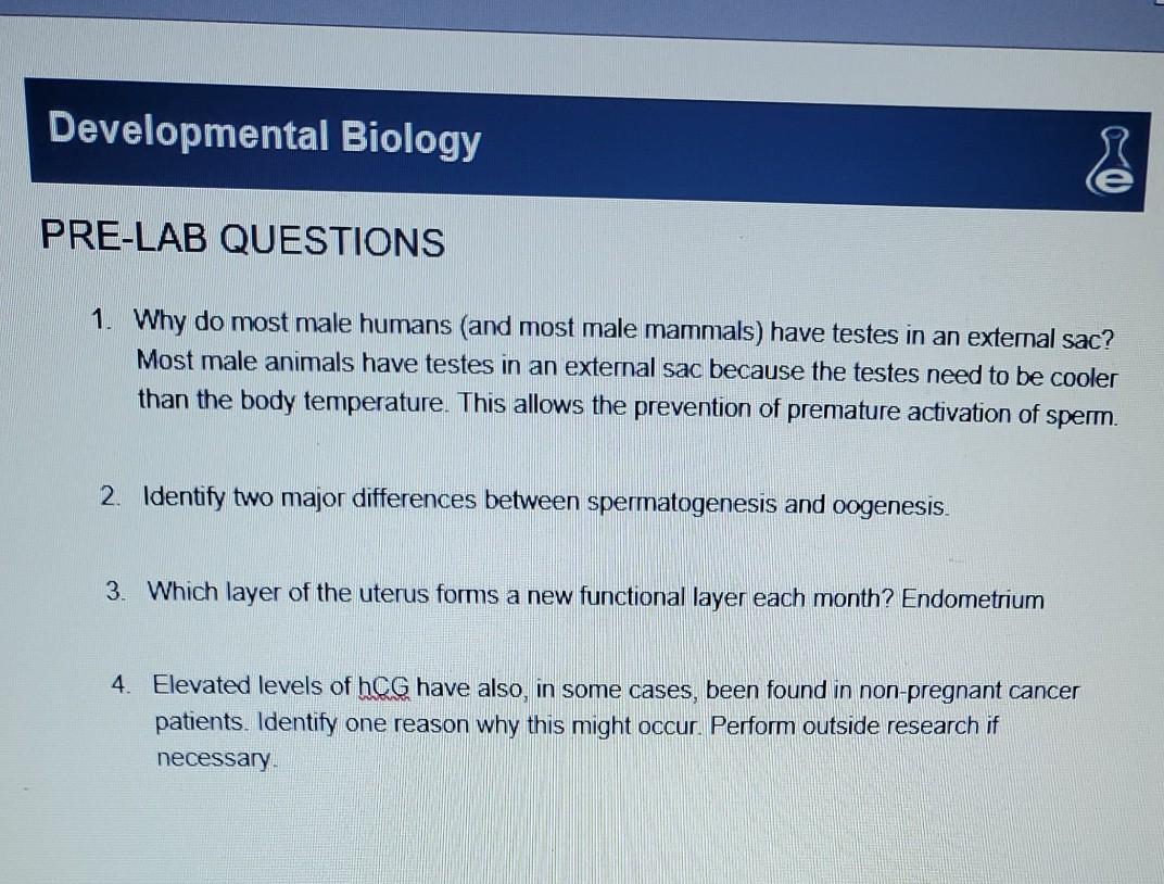 Solved Developmental Biology PRE-LAB QUESTIONS 1. Why do | Chegg.com