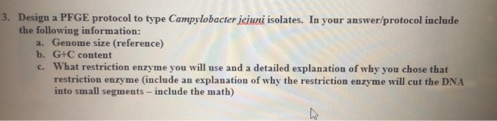 Solved 3. Design a PFGE protocol to type Campylobacter | Chegg.com
