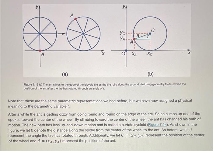 Solved Travels with My Ant: The Curtate and Prolate Cycloids | Chegg.com