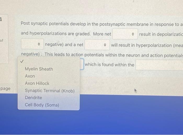Solved Post synaptic potentials develop in the postsynaptic | Chegg.com