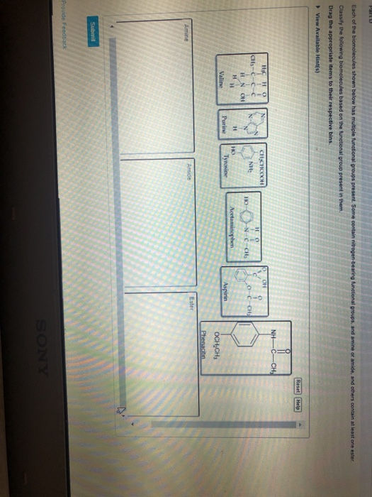 Solved Classify each of the following compounds according to | Chegg.com