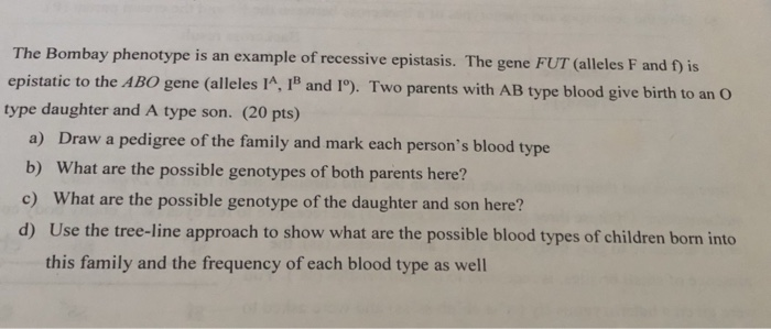 Solved The Bombay phenotype is an example of recessive | Chegg.com