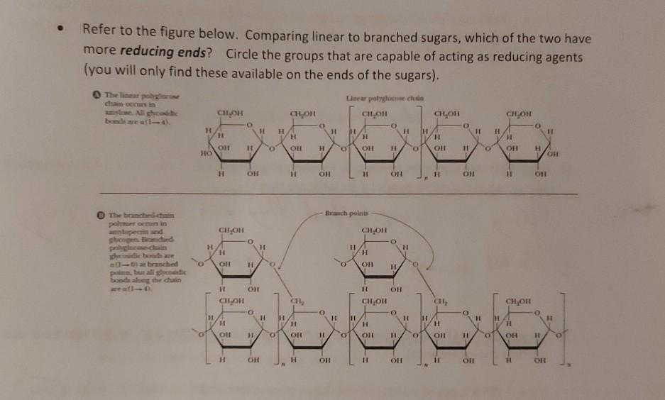 Solved Refer to the figure below. Comparing linear to | Chegg.com