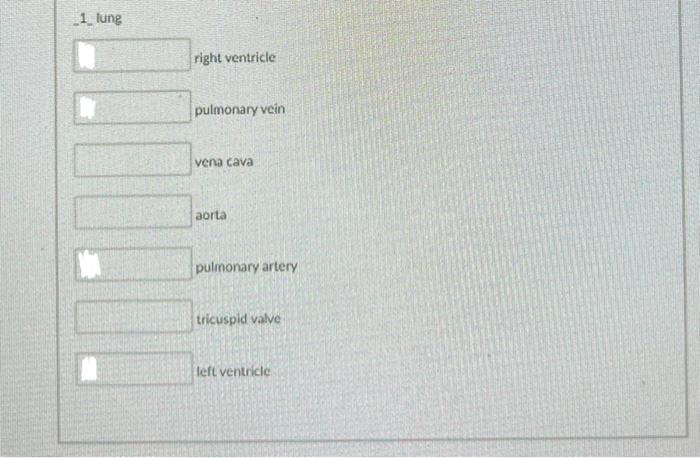 Solved Number the following structures in order of blood | Chegg.com