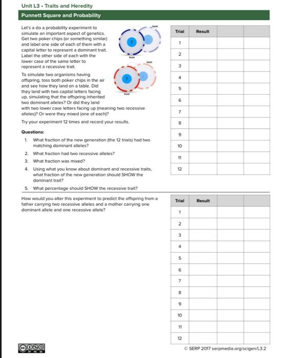 Solved Punnett Square and Probability Let's a do a | Chegg.com