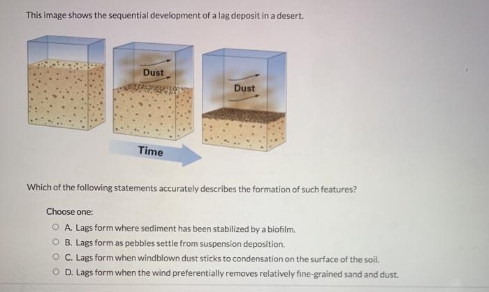 Solved This image shows the sequential development of a lag | Chegg.com