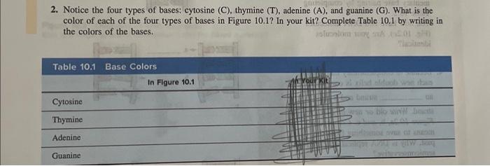 Table 10.1 Base Colors Cytosine Thymine Adenine | Chegg.com