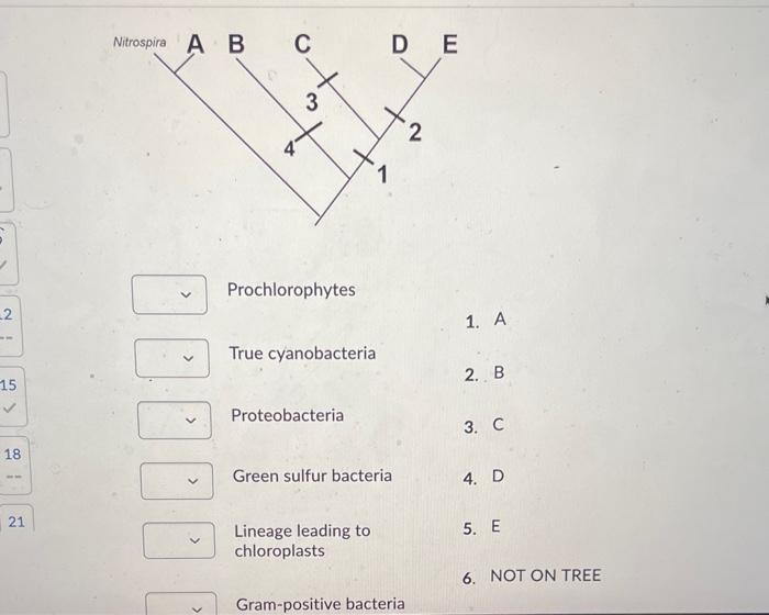 Using a selection of the terms below, label each of | Chegg.com