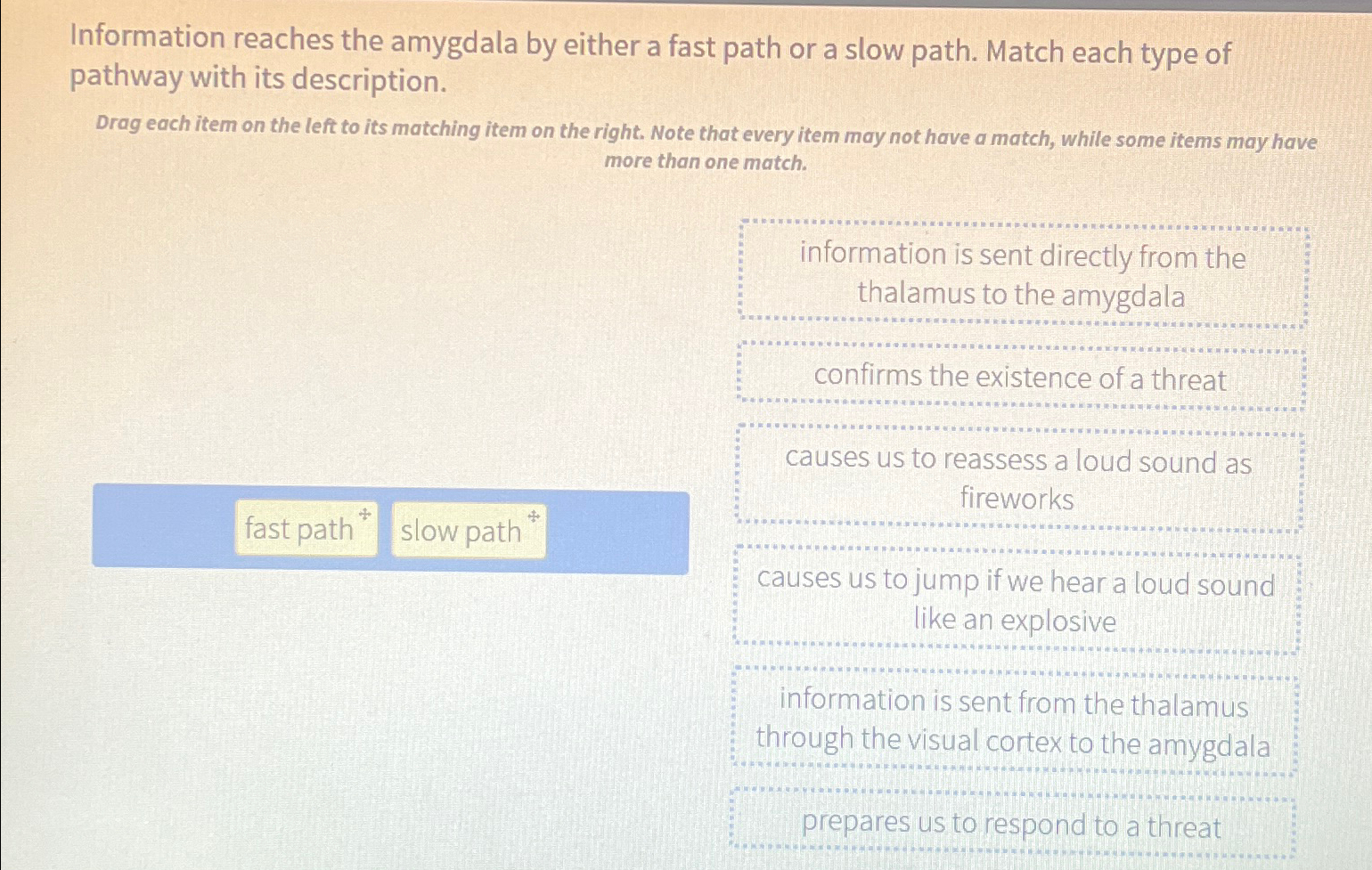 Solved Information reaches the amygdala by either a fast | Chegg.com