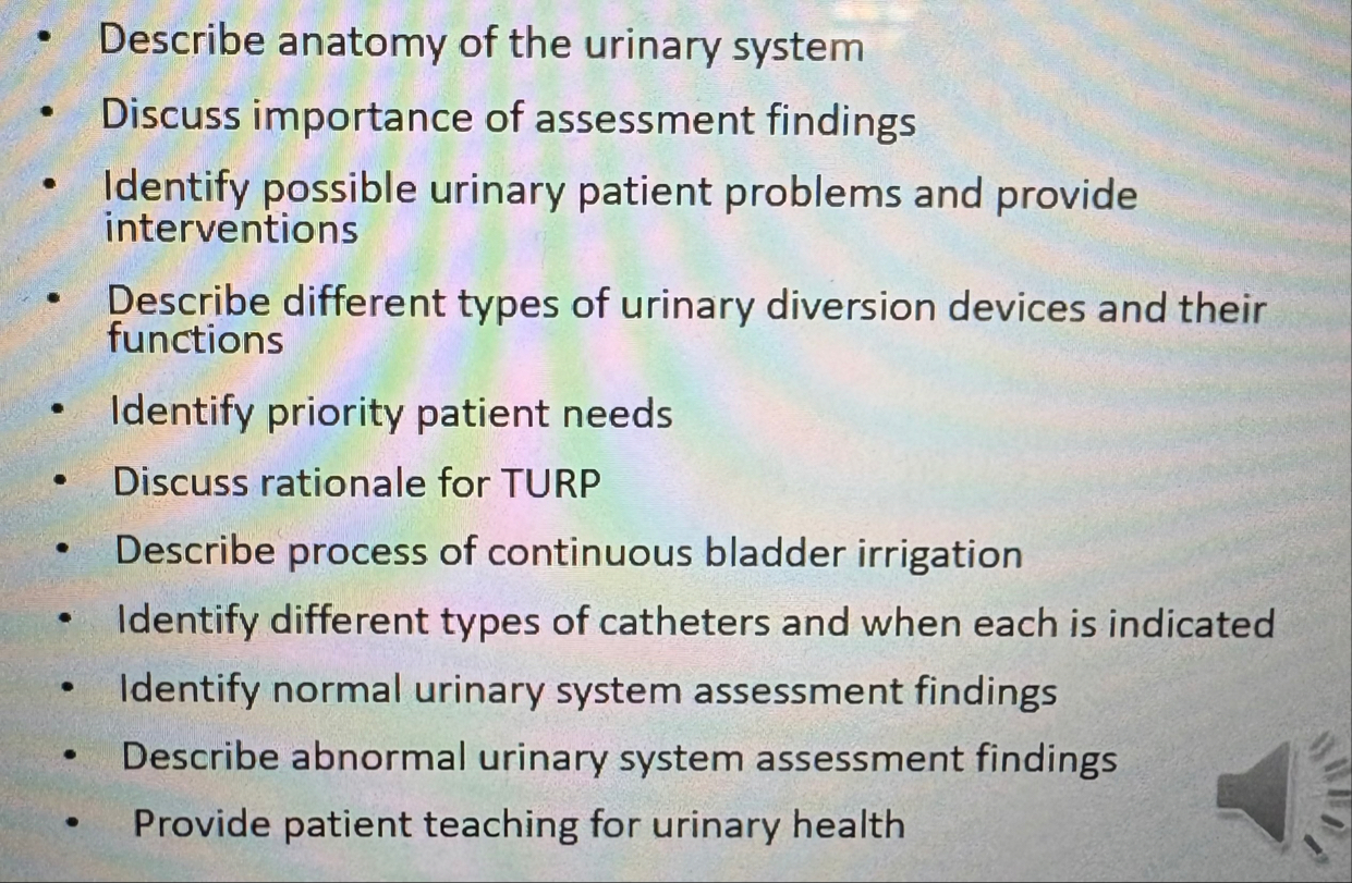 Describe anatomy of the urinary systemDiscuss | Chegg.com