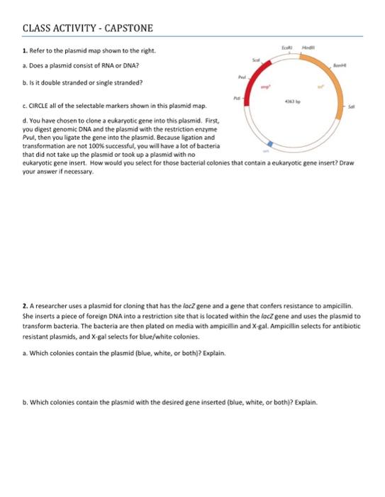 Solved 1. Refer to the plasmid map shown to the right. 3. | Chegg.com