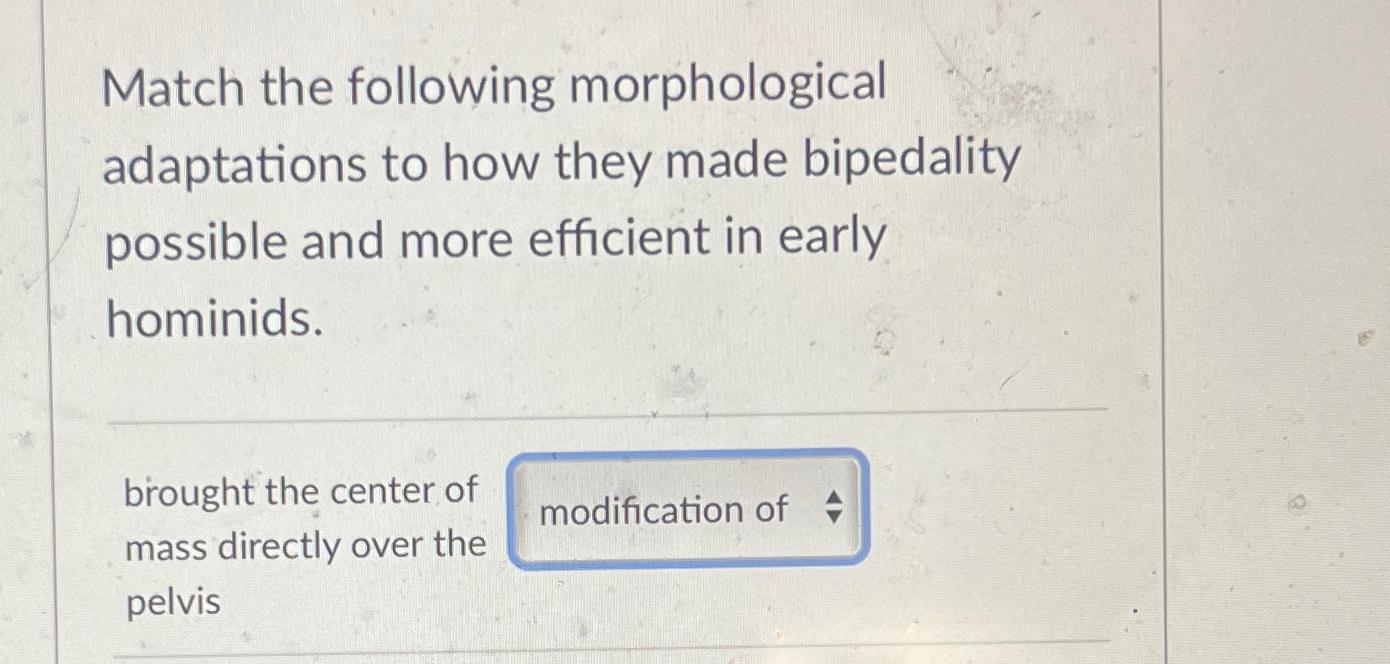 Solved Match the following morphological adaptations to how | Chegg.com