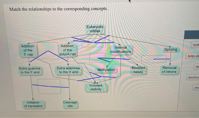 Match the relationships to the corresponding | Chegg.com