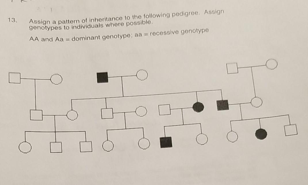 Solved 13. Assign a pattern of inheritance to the following | Chegg.com