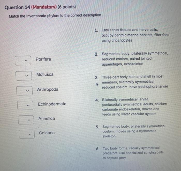 Solved Question 14 (Mandatory) (6 points) Match the | Chegg.com