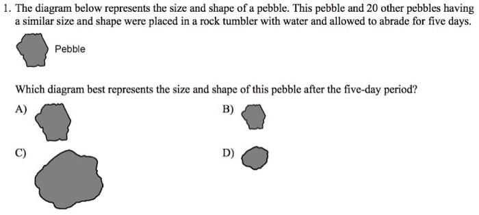 Solved 1. The diagram below represents the size and shape of | Chegg.com