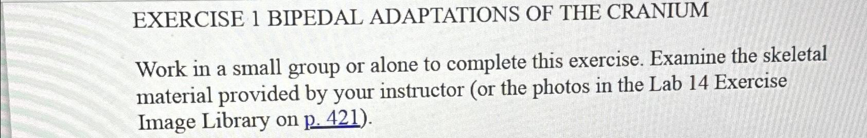 Solved EXERCISE 1 BIPEDAL ADAPTATIONS OF THE CRANIUMWork in | Chegg.com Solved EXERCISE 1 BIPEDAL ADAPTATIONS OF THE CRANIUMWork in | Chegg.com